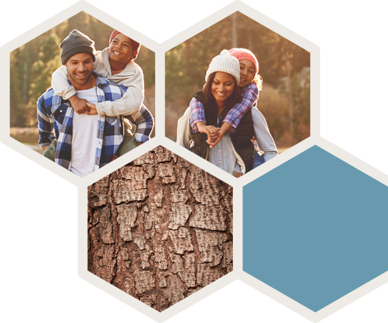 Home - Element Wealth